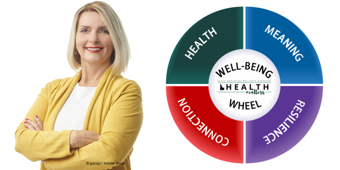 Well-Being Wheel | Health Matters